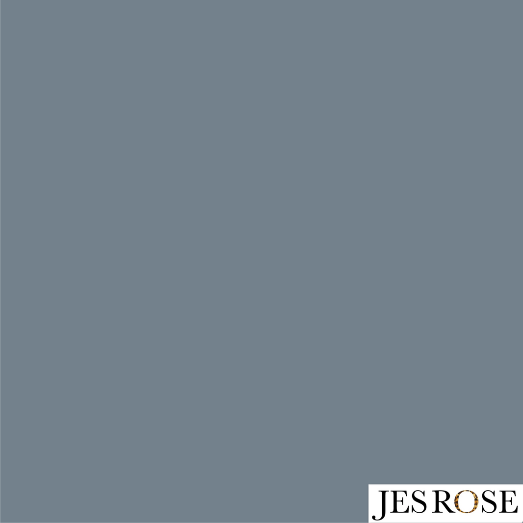 JesRose Vinyl – Jes Rose